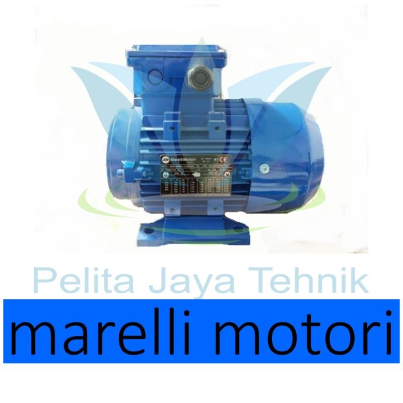 marelli - marelli motor - dinamo marelli motori - Pelita Jaya Tehnik